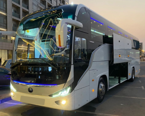 Buses | Luxury Art Passenger Transport